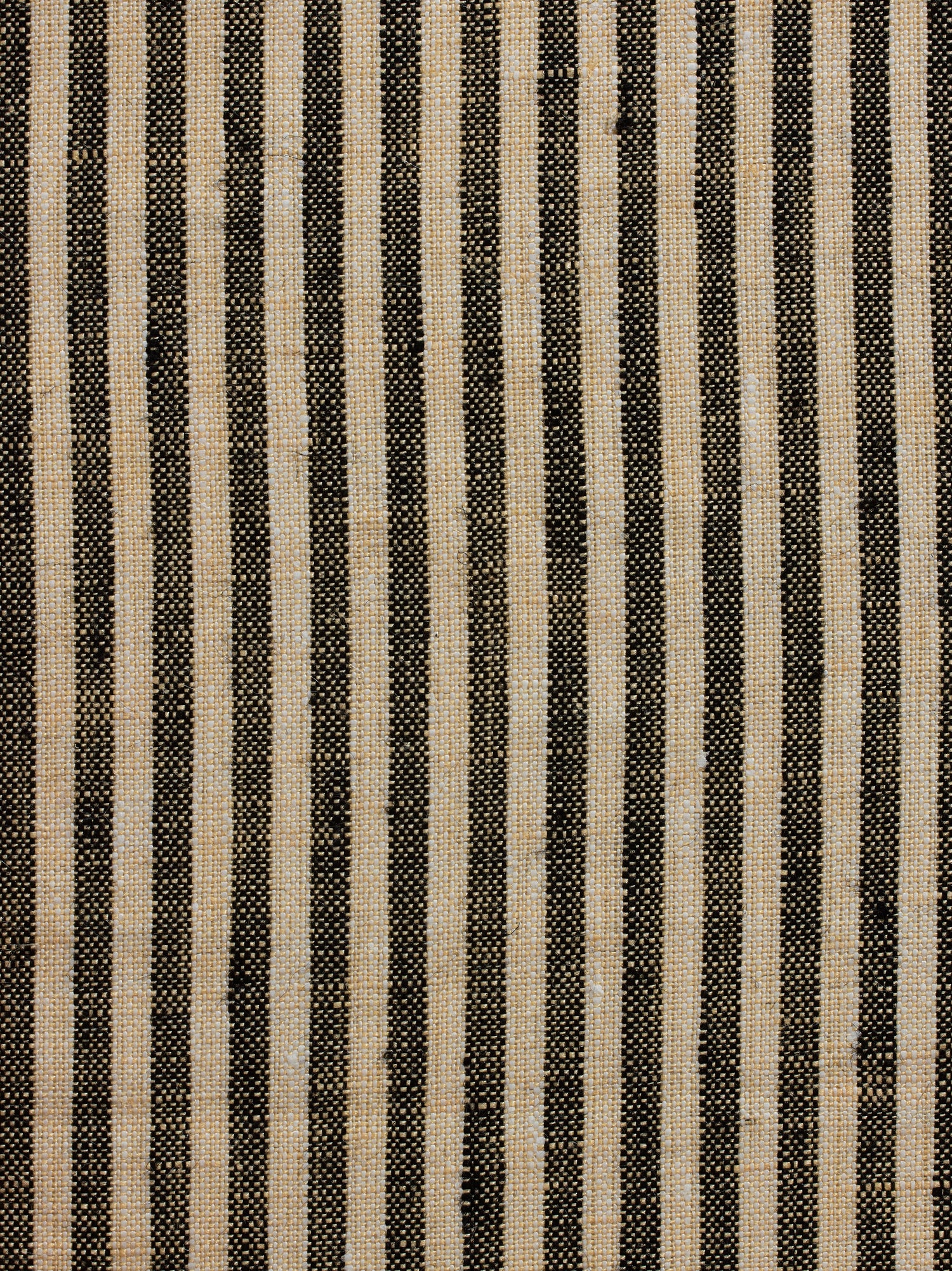 Fabric Swatch